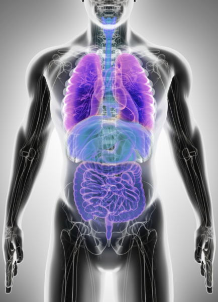 - GUNZE Medical USA